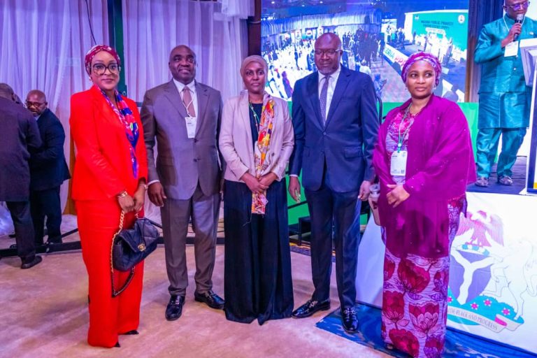 DG NEMA attends PPP summit – NEMA Nigeria