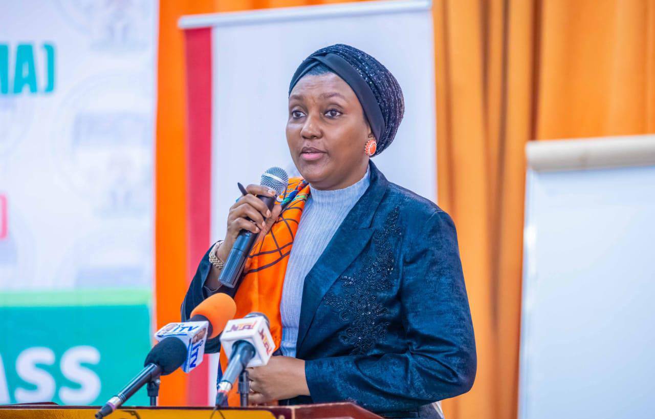 DG NEMA Briefs National Economic Council, Secures Funding for 2025 ...
