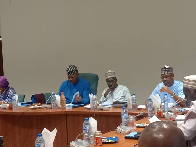 Director General National Emergency Management Agency (NEMA) Mustapha ...